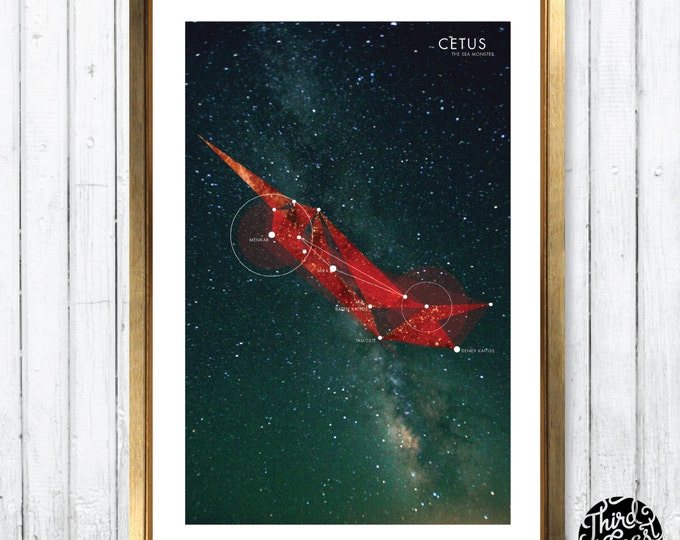 Cetus Constellation Map Print 11x17 | Etsy