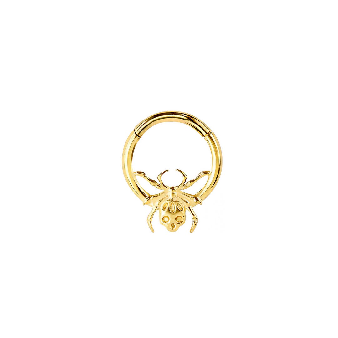 Spider Segment Hoop Ring - 316L Surgical Steel - Septum, Helix, Tragus ...