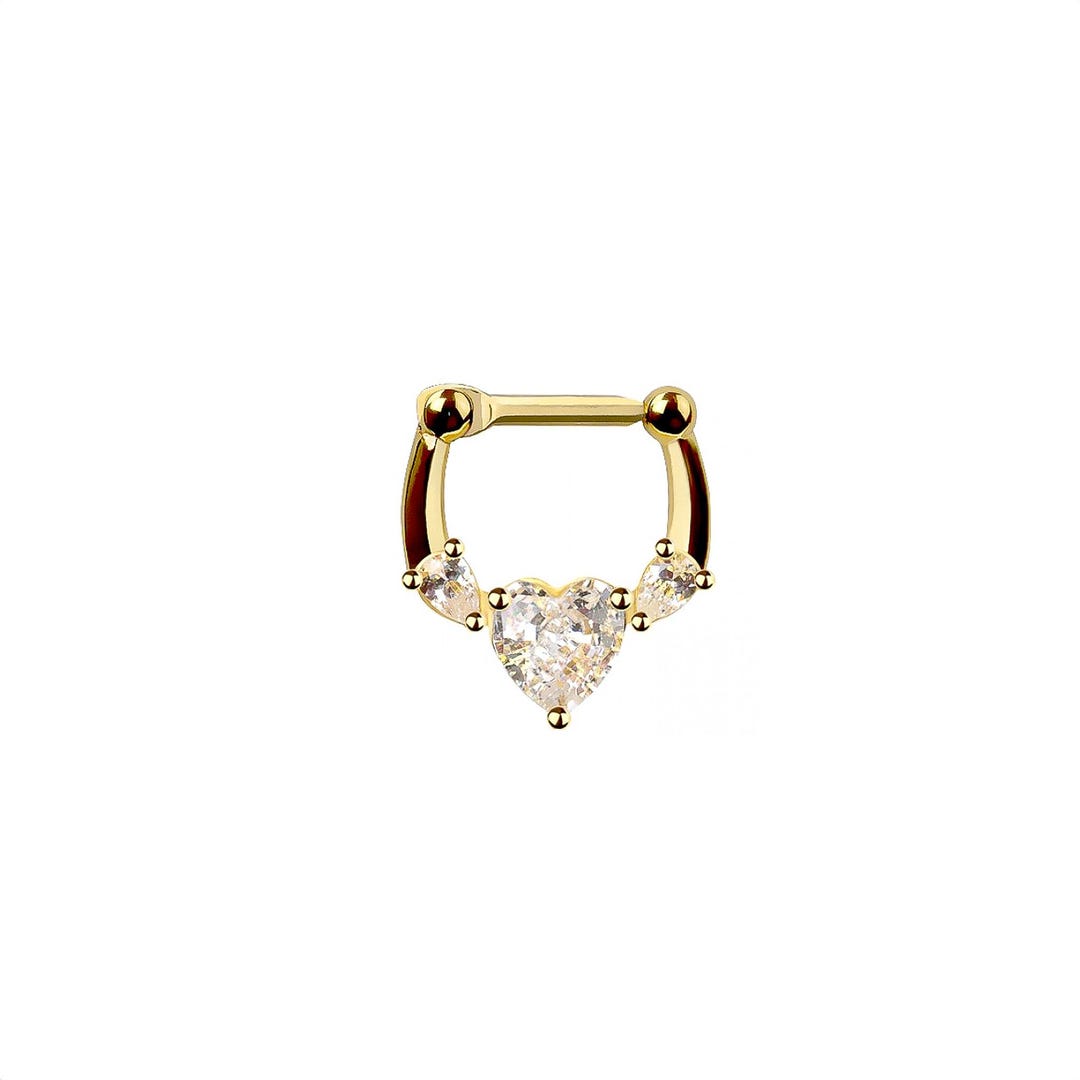 Heart Septum Ring – Hinged Clicker in 316L Surgical Steel – Dainty Nose ...