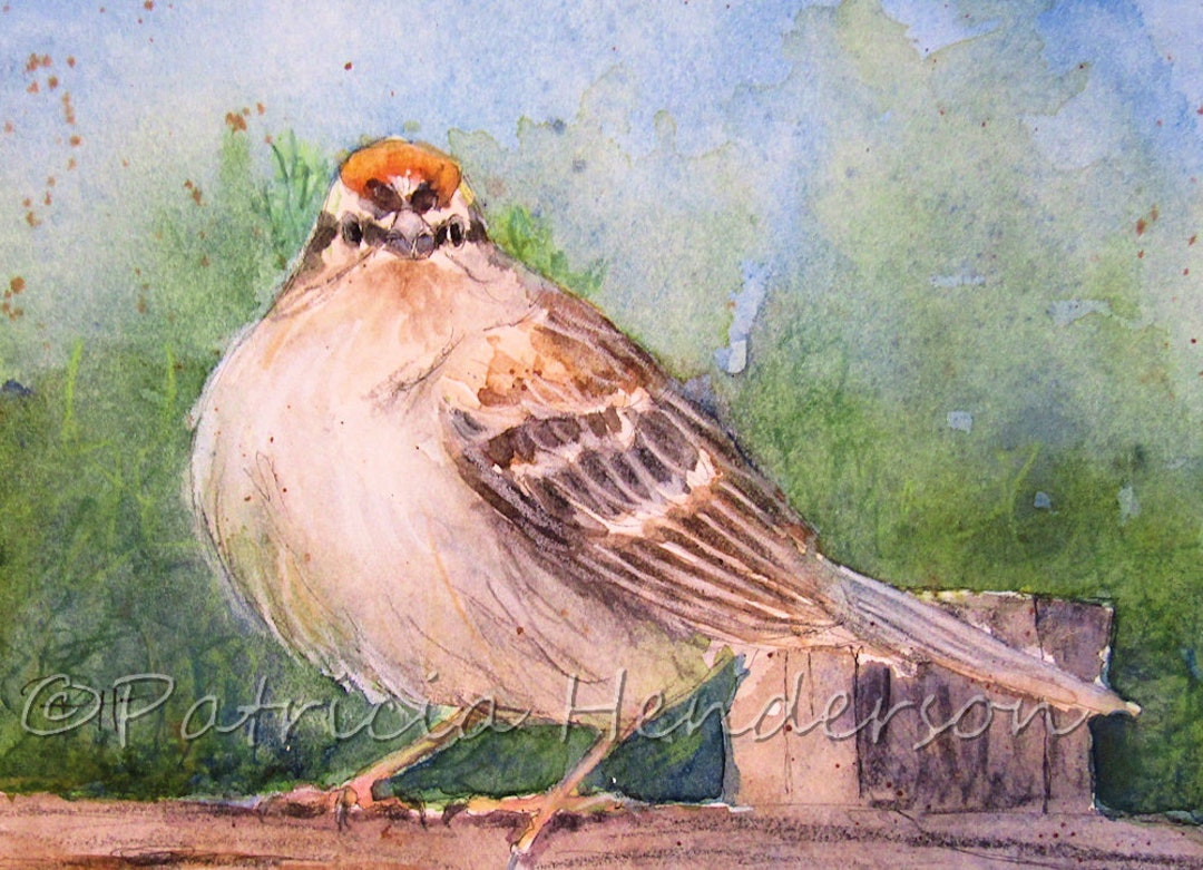 CHUBBY CHIPPING SPARROW Original Watercolor and Ink Bird Painting 6” X ...