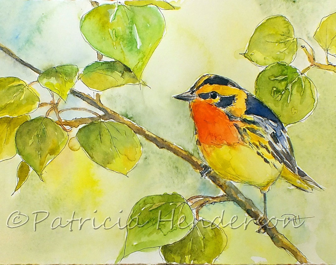 Watercolor And Ink Bird