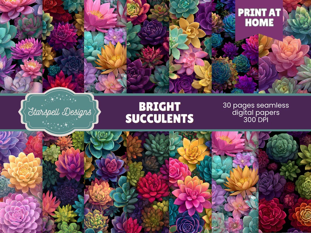 Bright Succulents Seamless Patterns | 30 Vibrant Botanical Digital ...