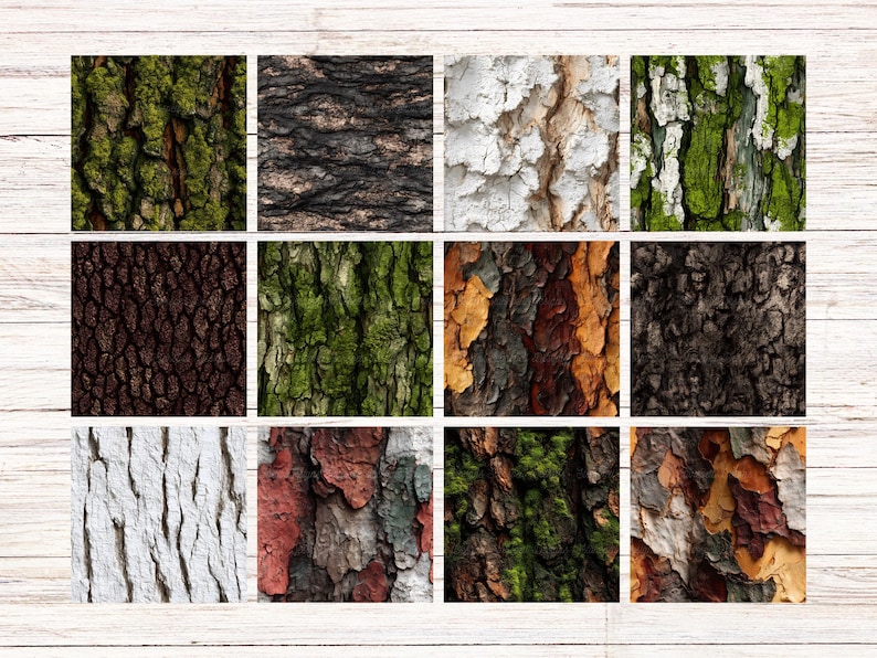 Tree Bark Seamless Texture Papers | 36 Realistic Wood & Nature Digital ...