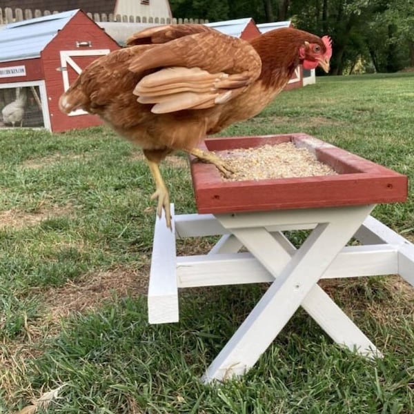 Chicknic Table - Etsy