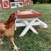 Amish Chicknic Table - A Picnic Table for Chickens - Etsy
