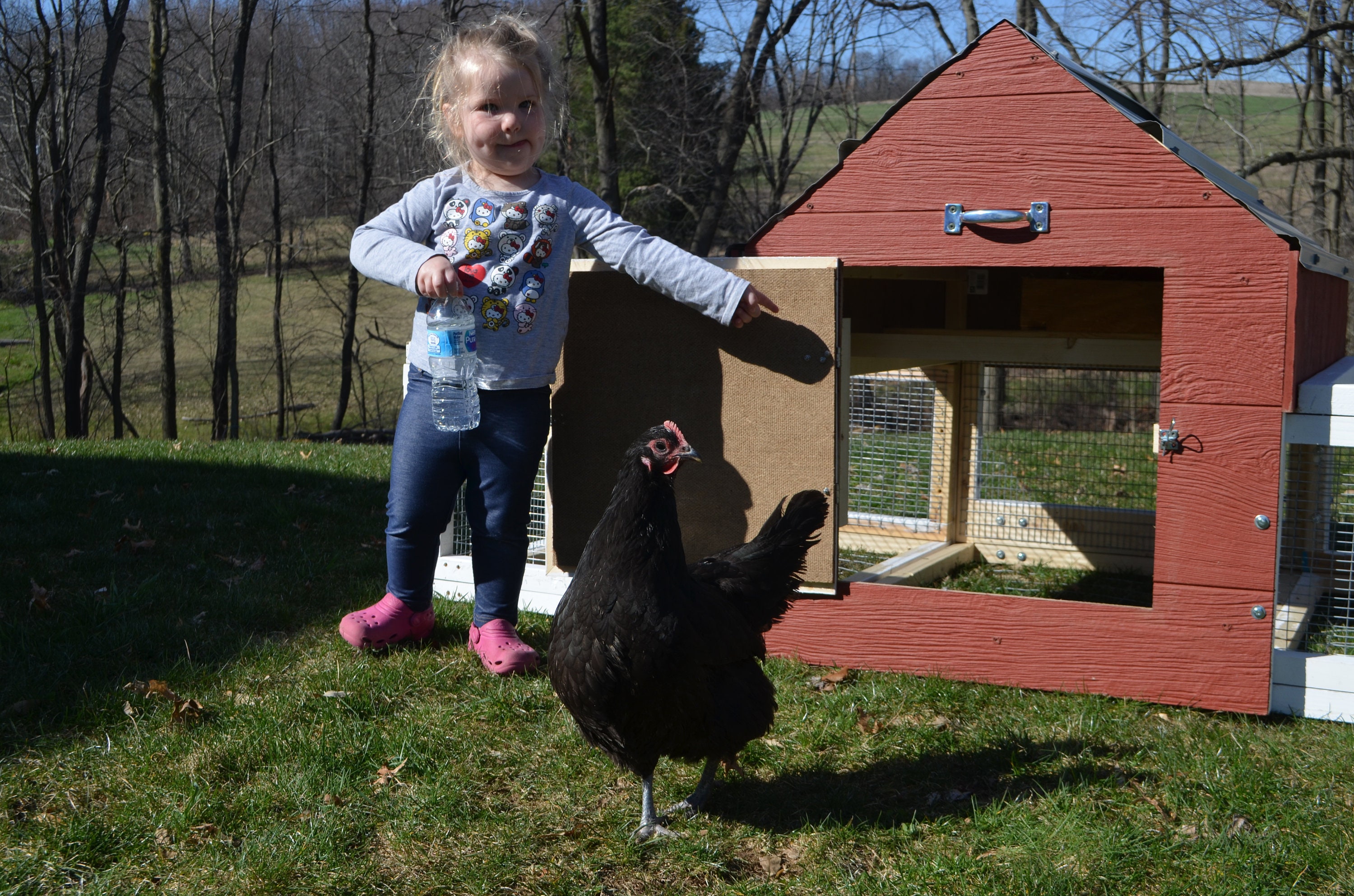 Amish Made Chicken Coop / Chicken Tractor 6 7 Birds - Etsy