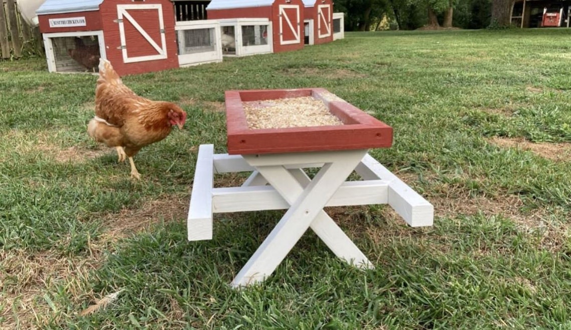 Amish Chicknic Table - A Picnic Table for Chickens - Etsy