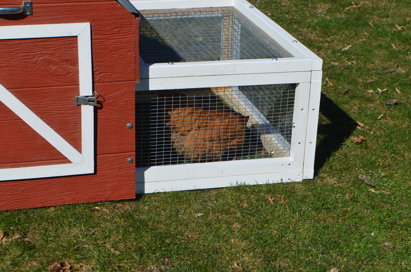 Amish Made Chicken Coop / Chicken Tractor for 4-5 Birds - Etsy