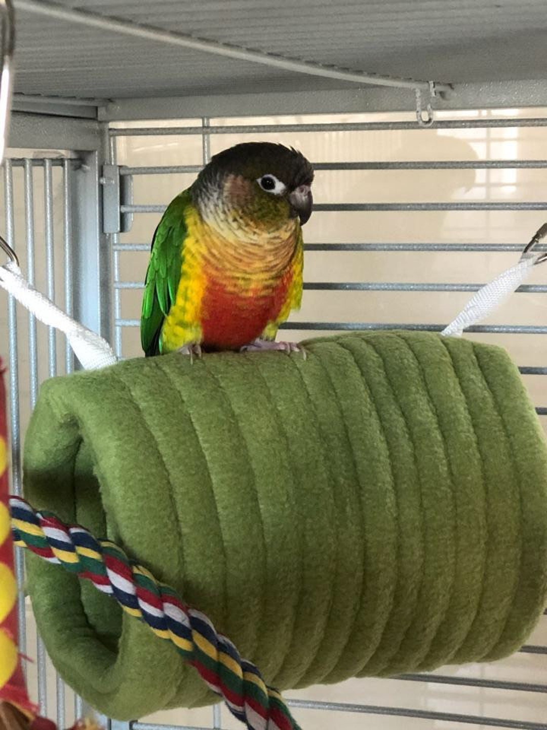 Custom Order Tunnel Made With Longer Loops so the Bird Can Perch on Top ...