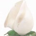 17th Wedding Anniversary Gift - "shell" Desk Rose - Etsy
