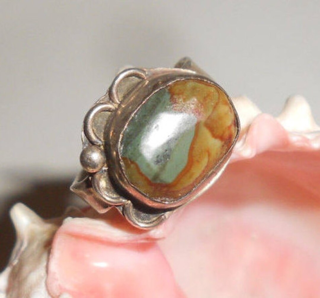 Turquoise in Petrified Wood Navajo Ring -earthy Sterling Silver Tribal ...