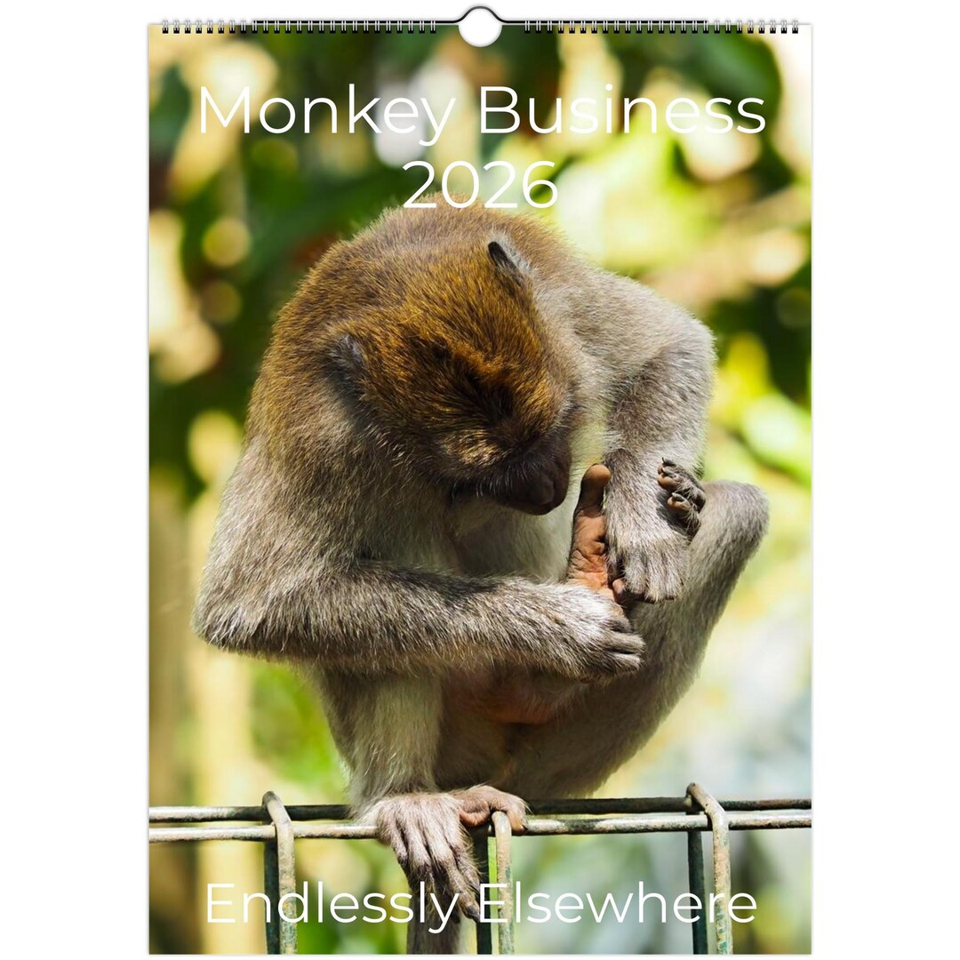 Monkey Business Calendar 2026 - A3 Size - Colour - Etsy