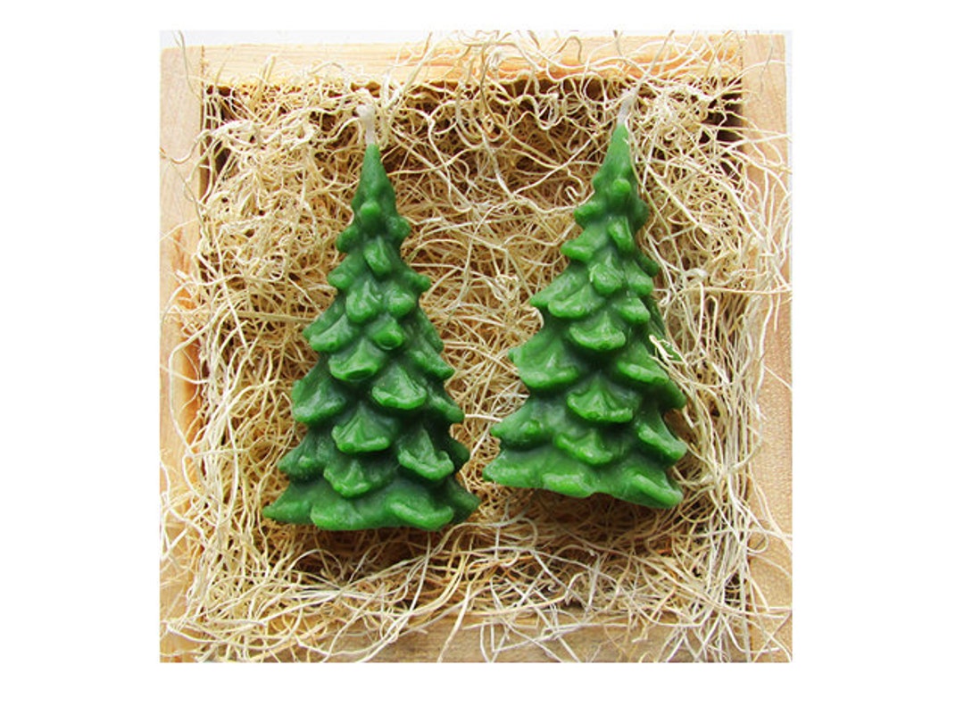 Two Small Fir Trees Gift Box Christmas Tree Gift Box Maine - Etsy