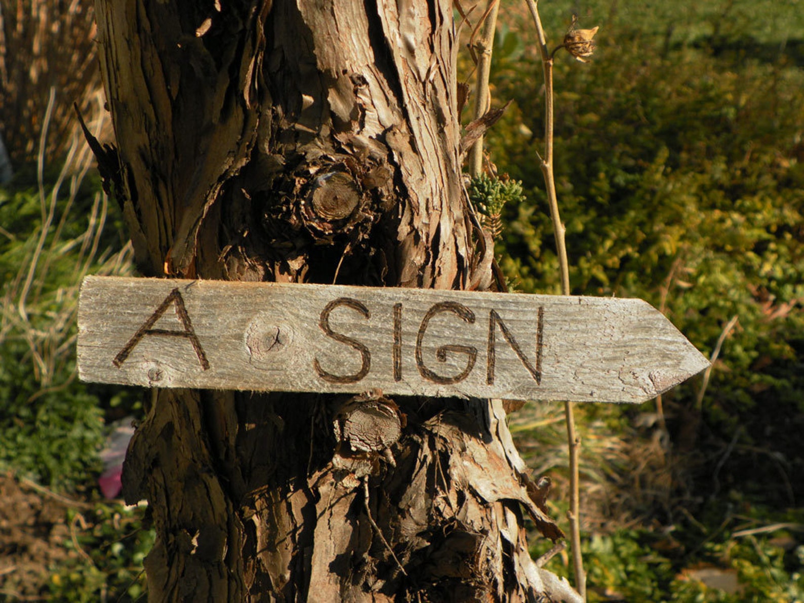 Looking for a Sign.... - Etsy