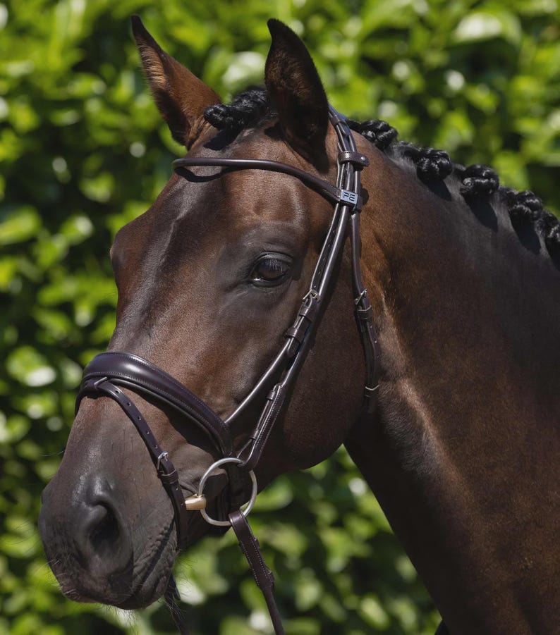 Anatomical Bridle - Verity Bit Lifter for Mouthy / Sensitive Horse ...