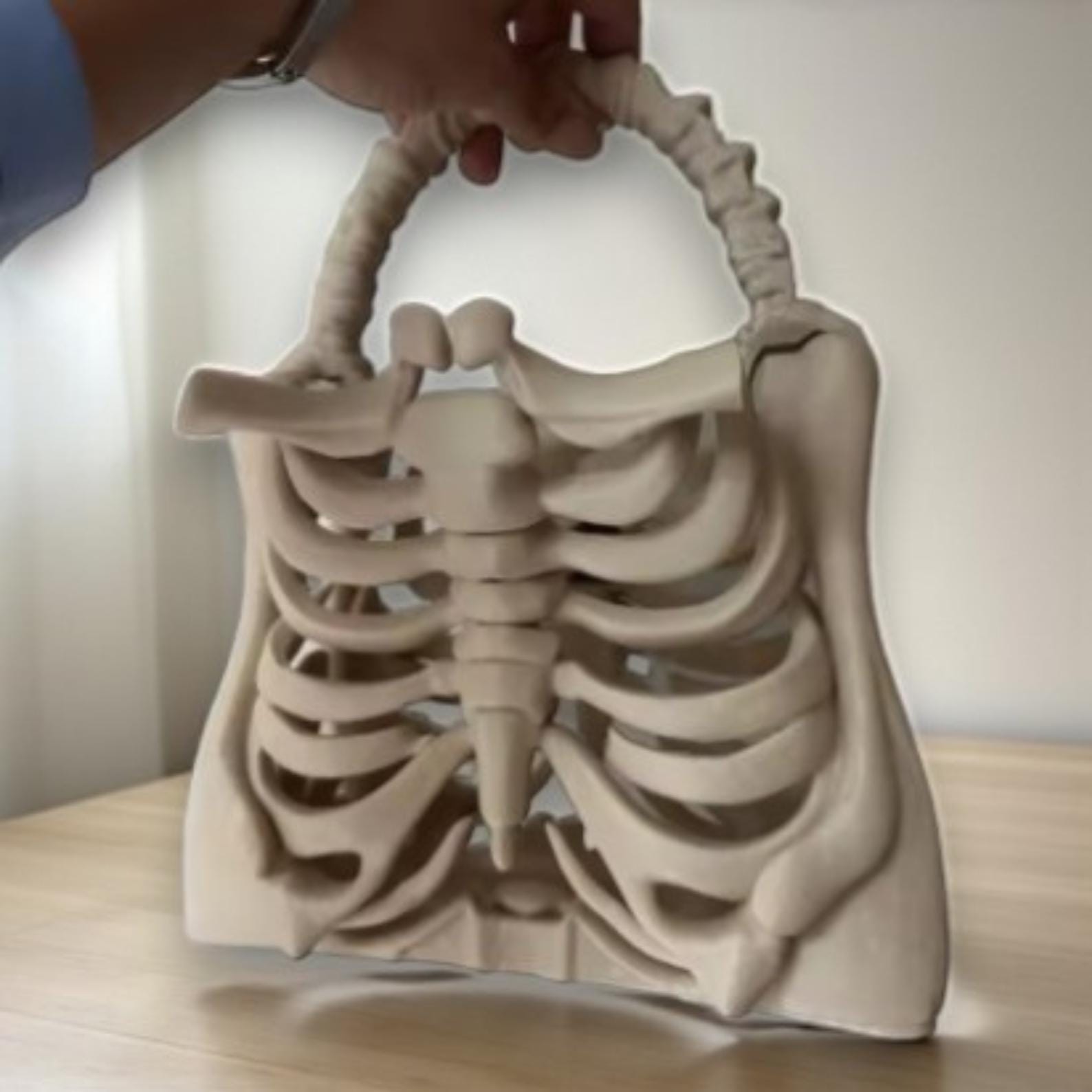 Gothic Skeleton Purse, 3D Printed Skeleton Halloween Bag, Gift for Her ...