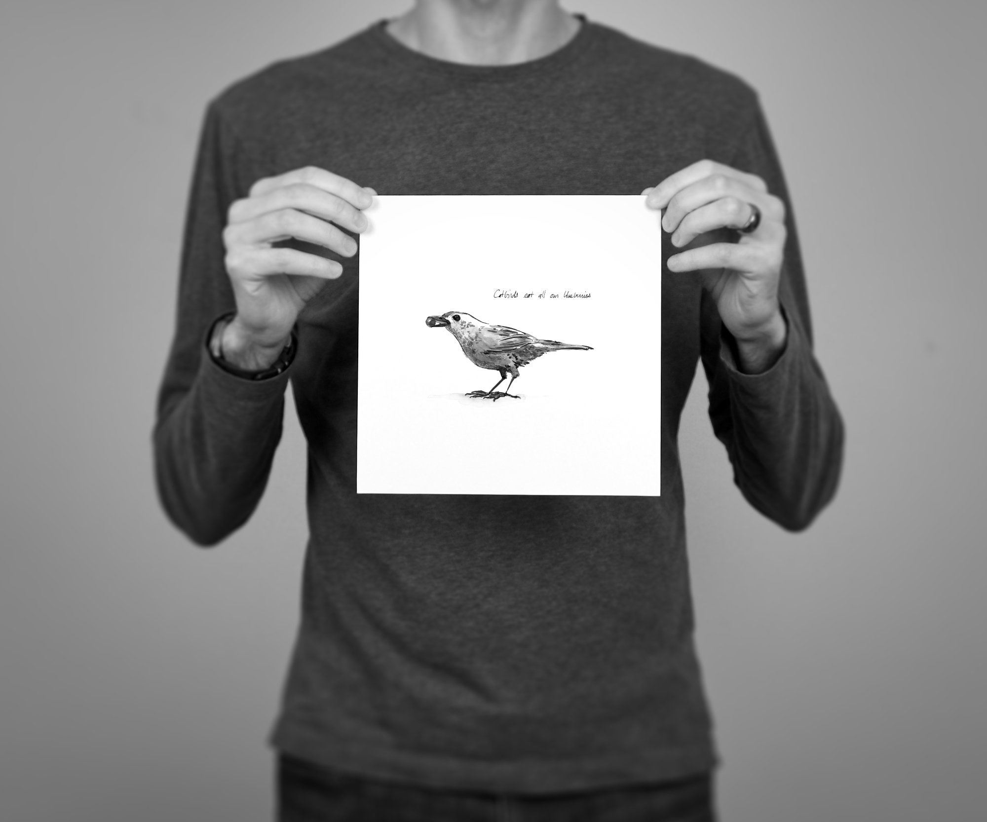 Catbird - Etsy