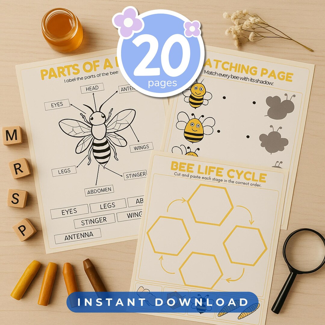 Bee Activity Pack 20 Pages | Printable Worksheets for Preschool ...