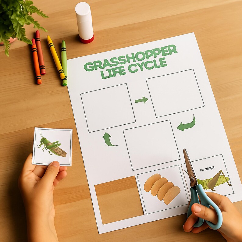 Grasshopper Kids Activity Pack| Insect Life Cycle PDF - Etsy