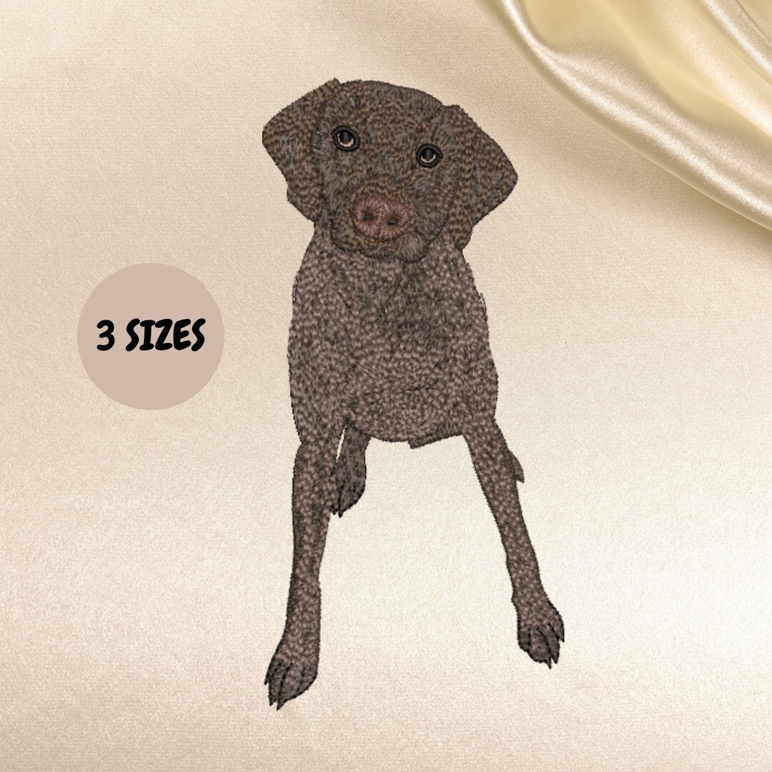 Realistic Brown Dog Embroidery Design: Labrador Pointer Pet Pattern ...