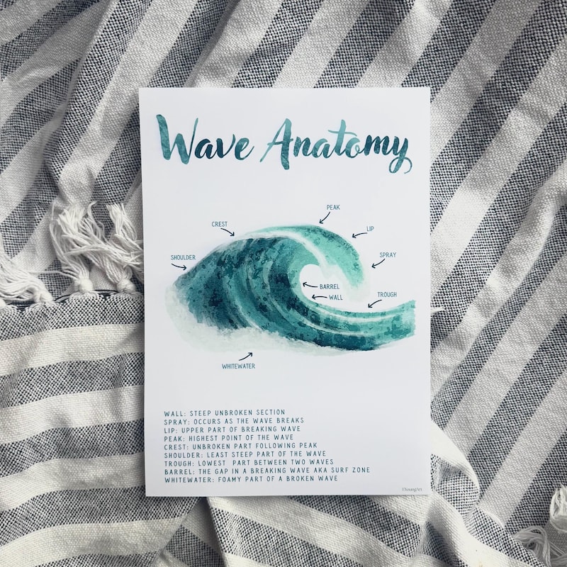 Marine Biology Poster - Etsy UK