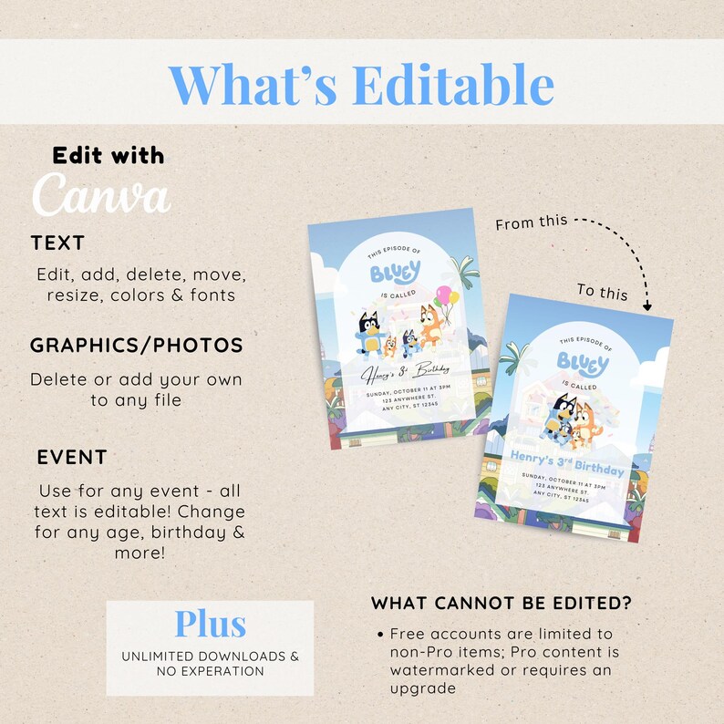 Bluey Birthday Party Invitation (5x7) Evite Kids Birthday - Etsy Canada