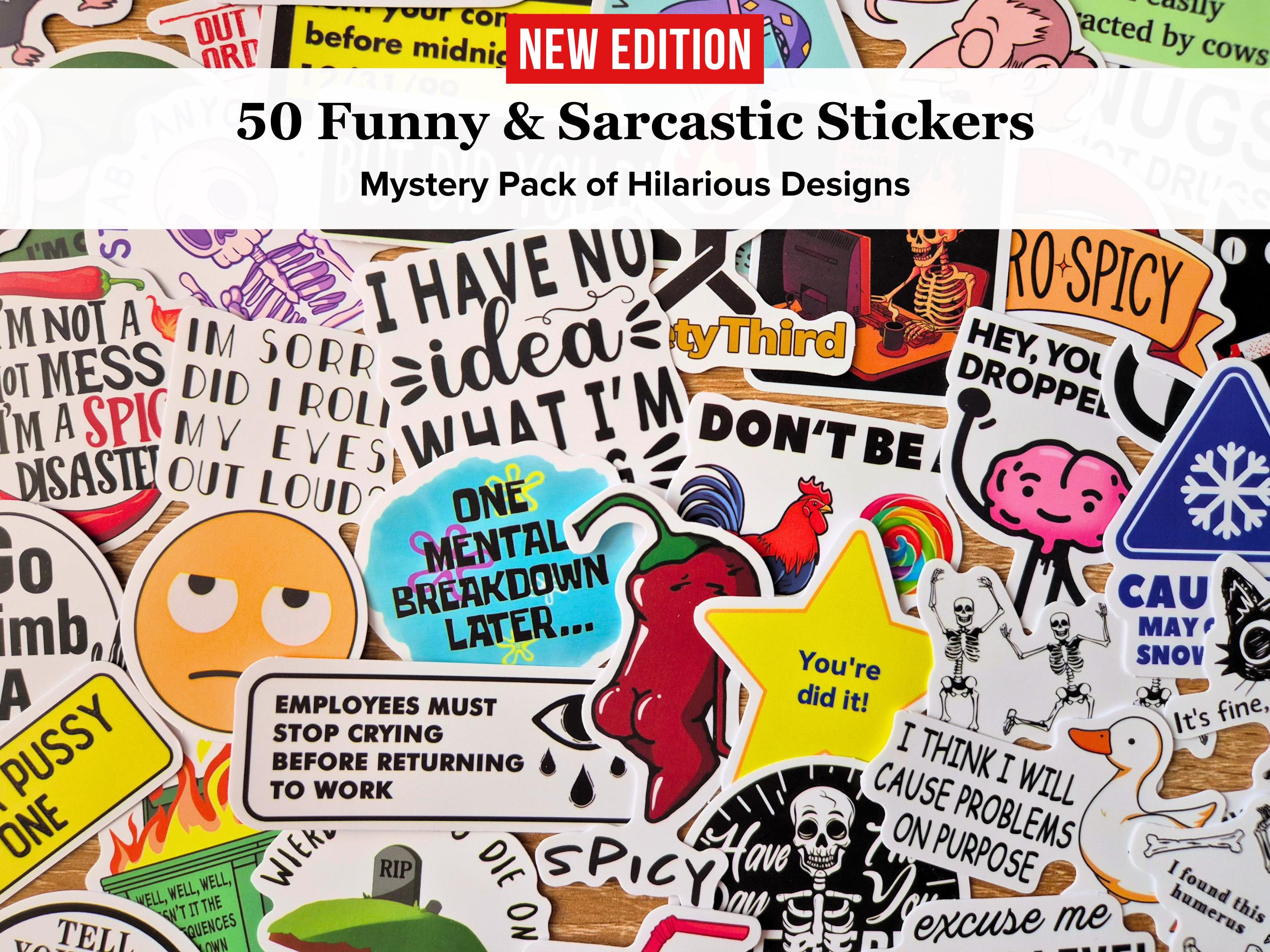 Funny Sarcastic Sticker Bundle 2nd EDITION | Fun Sticker Packs ...