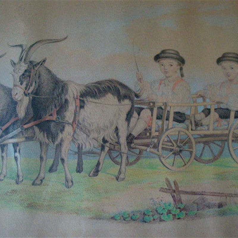 Goat Cart - Etsy