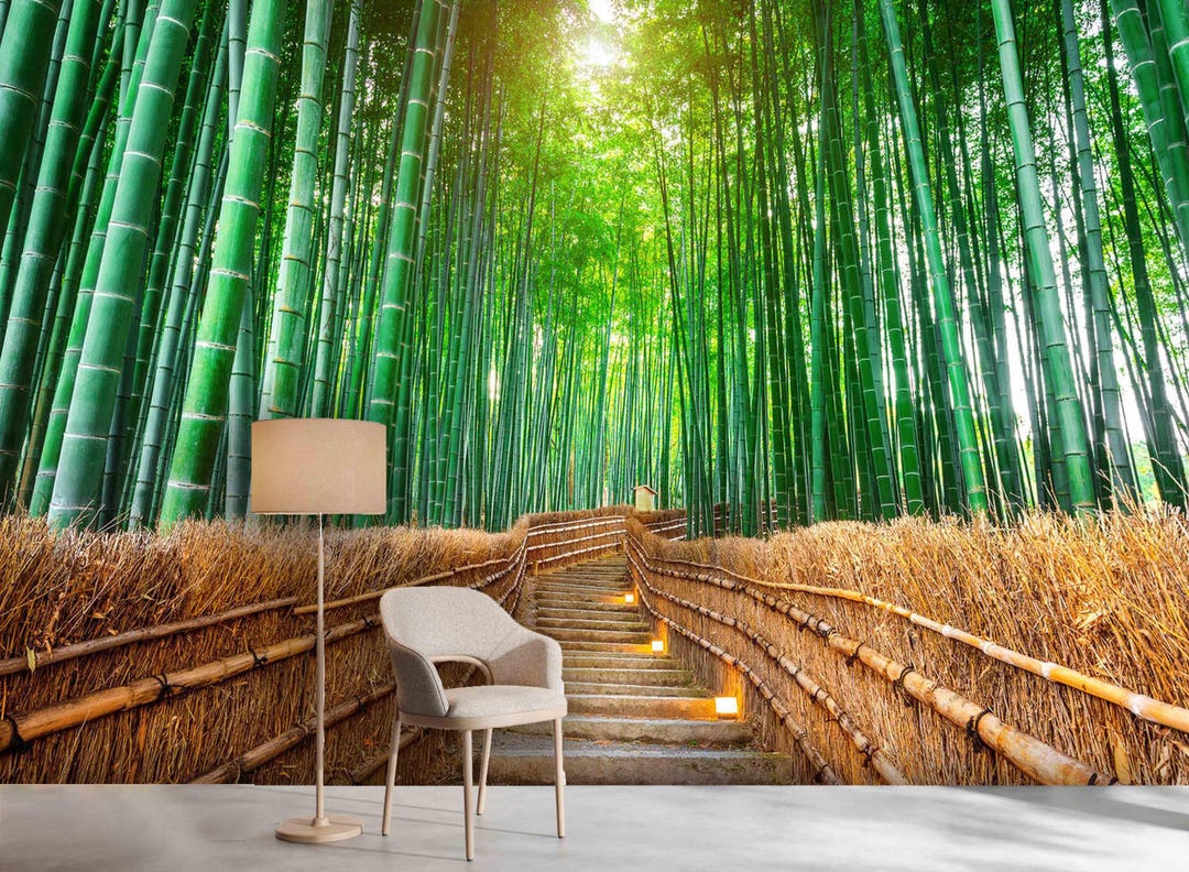 Bamboo Forest in Kyoto, Japan,bambo Wallpapers - Etsy