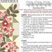Splendiferous PDF Quilt Pattern - Etsy
