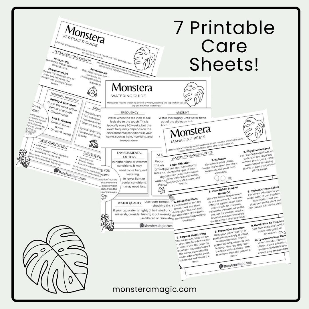 Monstera Plant Care Guide | Complete Instructions, Cheat Sheet (PDF) - Etsy