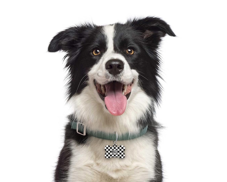 Retro Checkered Personalized Dog ID Tag, Bone-shaped Metal Tags ...