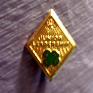 4-H Pins From the Early 60's, Third Year is Sterling, Firfth Year and ...