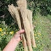 Cobweb.broom Besom ~ Natural Broom Corn W Jute Twine ~ Simple Small ...