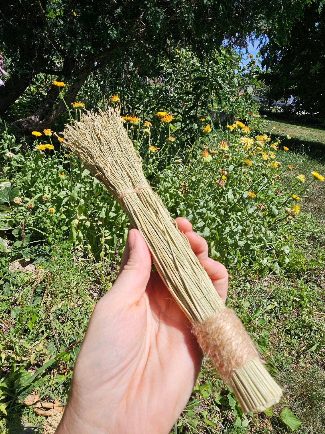 Cobweb.broom Besom ~ Natural Broom Corn W Jute Twine ~ Simple Small ...