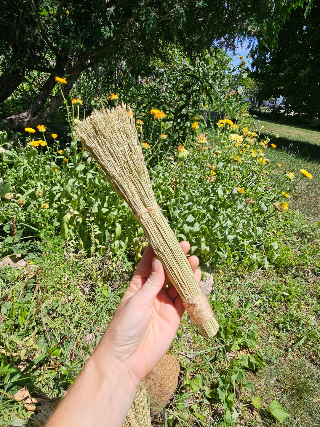 Cobweb.broom Besom ~ Natural Broom Corn W Jute Twine ~ Simple Small ...