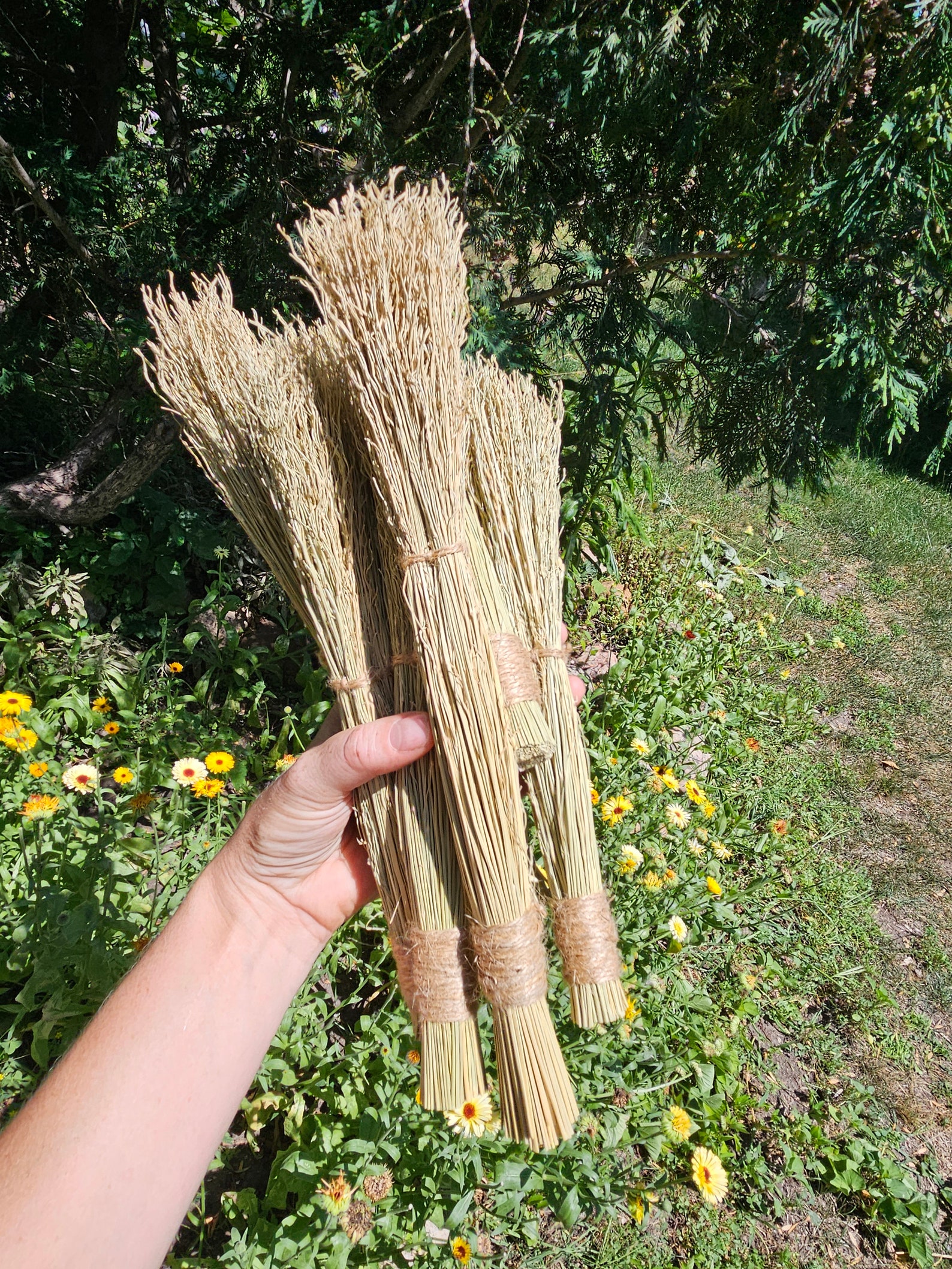 Cobweb.broom Besom ~ Natural Broom Corn W Jute Twine ~ Simple Small ...