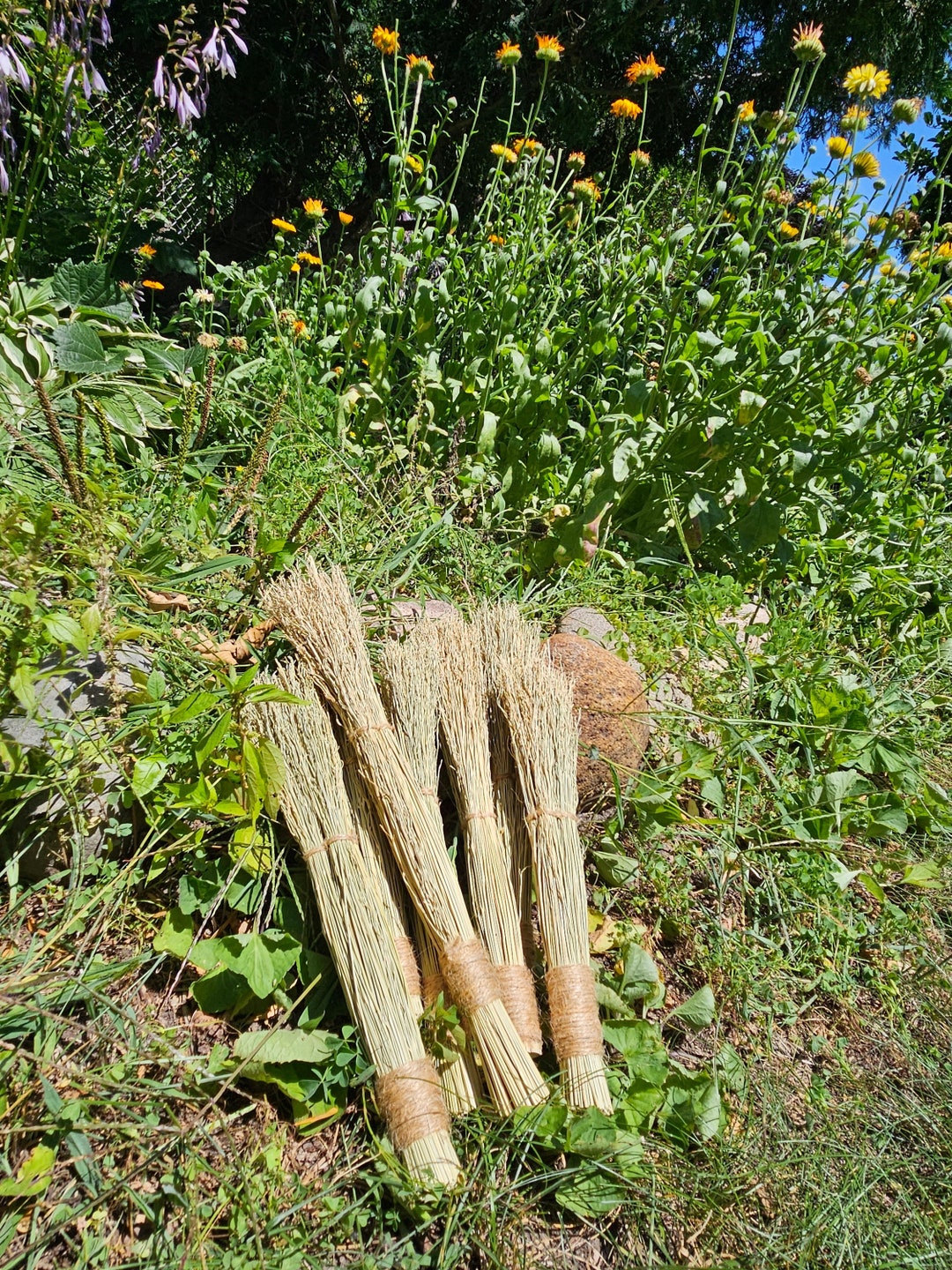 Cobweb.broom Besom Natural Broom Corn W Jute Twine Simple Small Broom ...