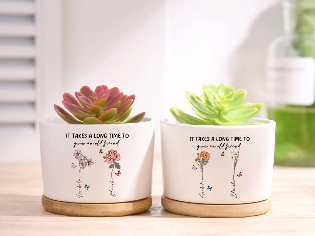 Personalized Flower Pot Gifts for Besties, Birth Month Flower Plant Pot ...