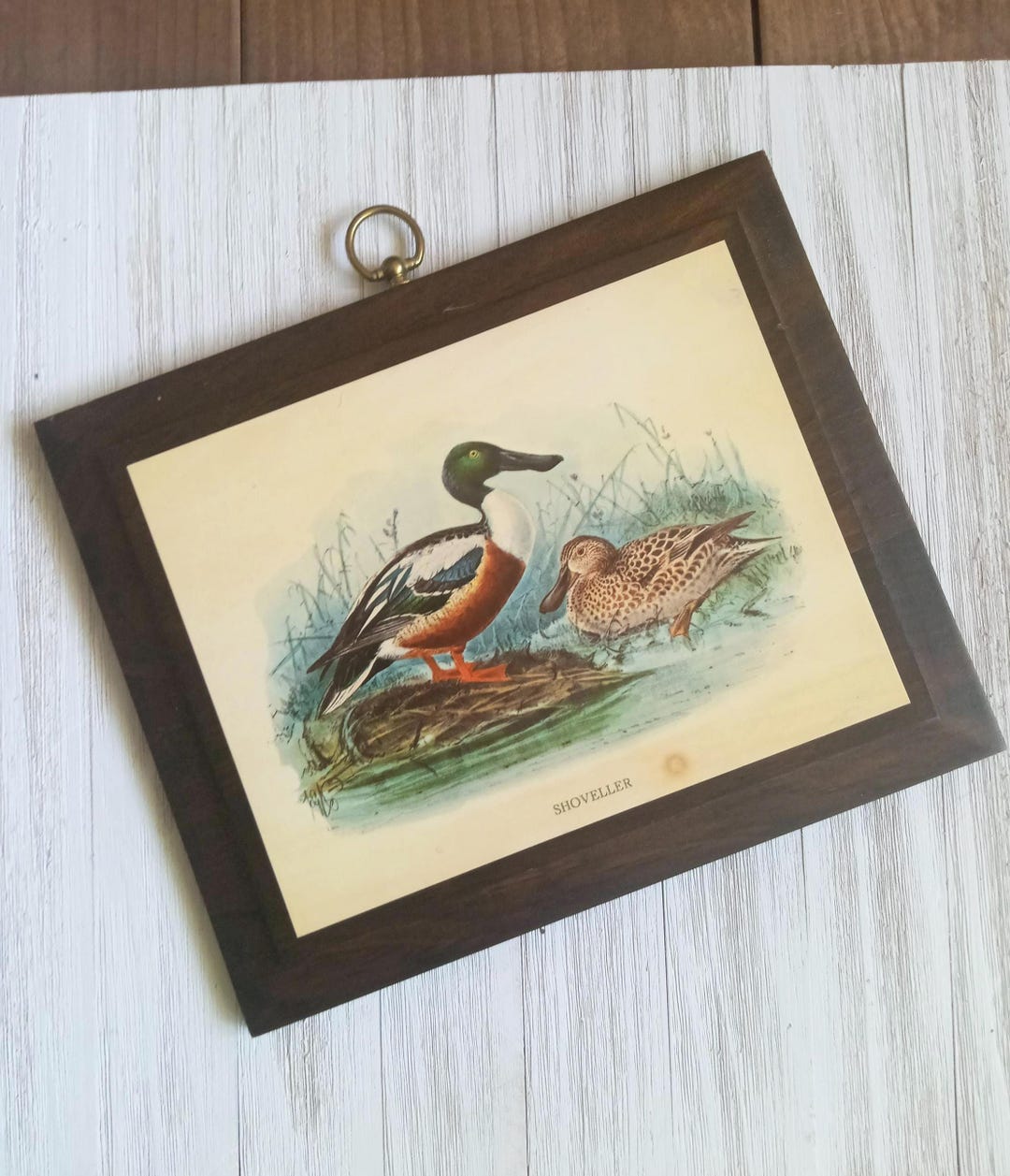 Vintage Shoveller Duck Wood Wall Plaque, Bird Wall Hanging, Cabin ...