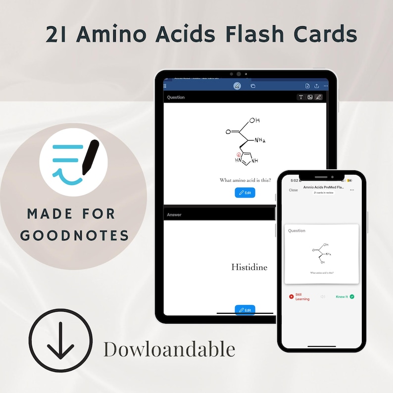 21 Amino Acid Flashcards | Digital Cards for Goodnotes, Biochemistry ...