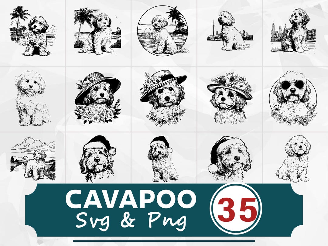 Cavapoo Silhouette Vector Bundle, Dog Lover Clipart (SVG, PNG) - Etsy UK