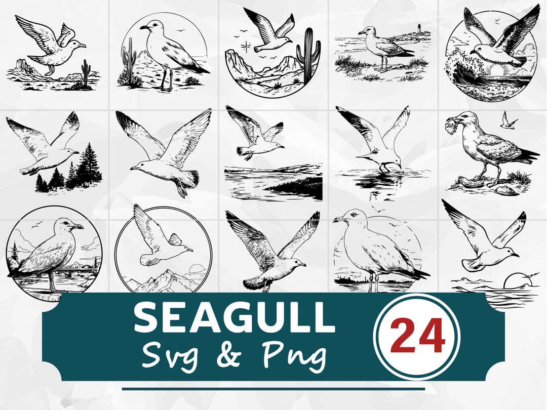 Seagull SVG PNG Bundle, Coastal Bird Clipart, Cricut Cut Files - Etsy