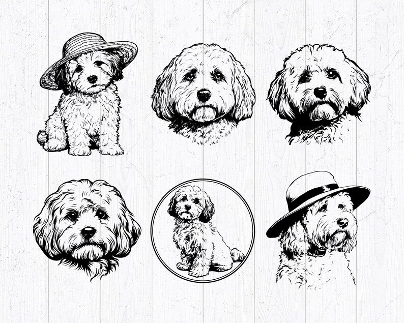 Cavapoo Dog Silhouette SVG PNG Bundle, Puppy Clipart Vector - Etsy