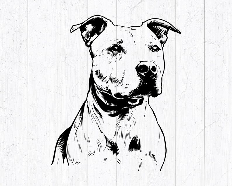 Staffordshire Bull Terrier SVG Bundle: Dog Vector Clipart, Cricut Ready ...