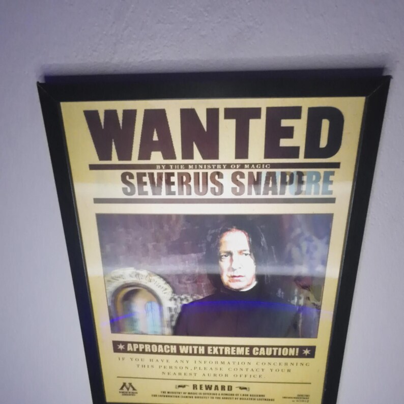 Harry Potter Wanted Poster: 3D Lenticular Moving Print - Unframed ...