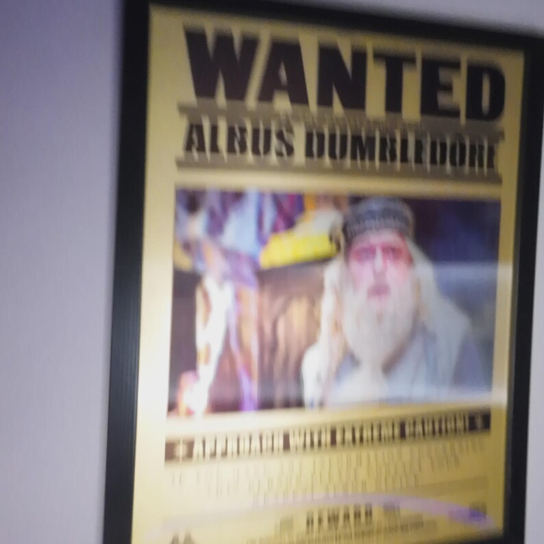 Harry Potter Wanted Poster: 3D Lenticular Moving Print - Unframed ...