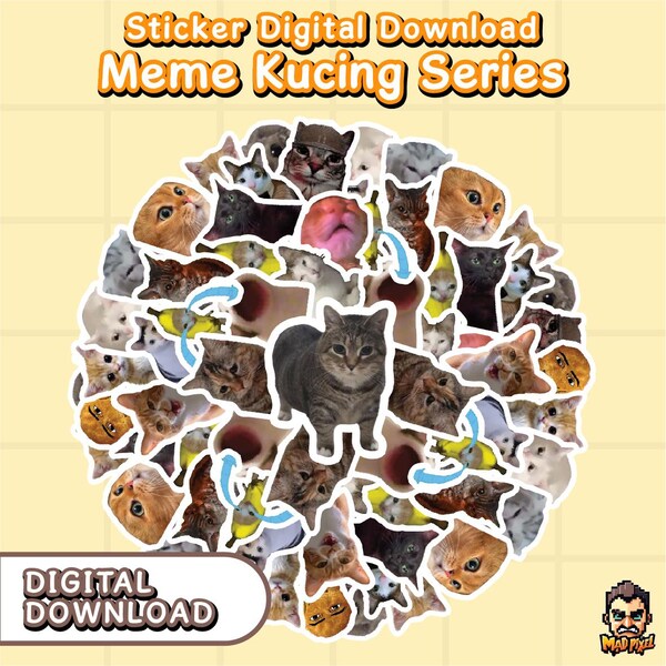 Cat Meme Stickers - Etsy