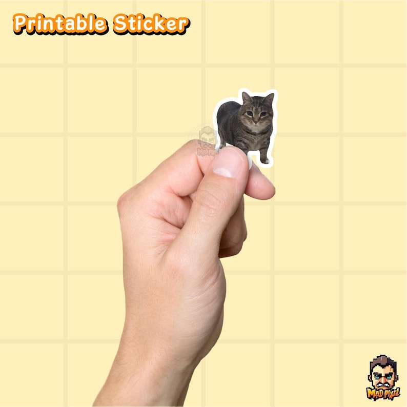 Cat Meme Digital Stickers Pack, Digital Stickers, Cat Meme Stickers ...