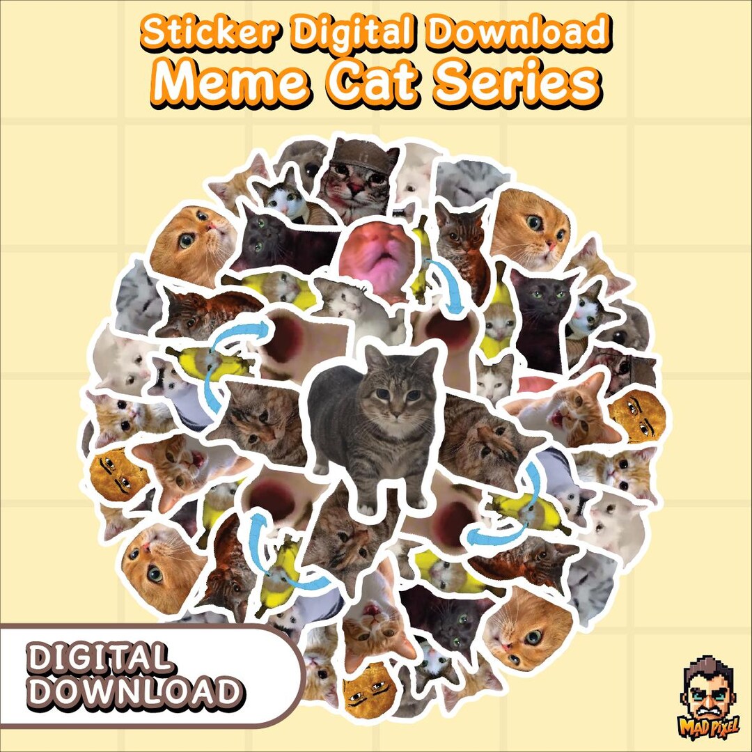 Cat Meme Digital Stickers: PNG Files for Goodnotes, Notability (40-pack ...